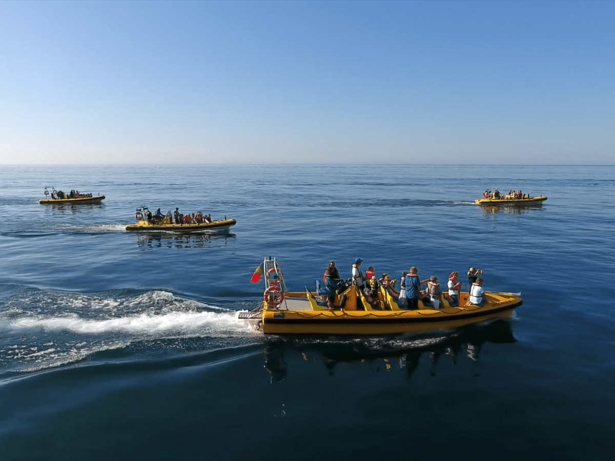 Dream Wave Algarve | Boat Tours & Jet Ski Rentals in Albufeira